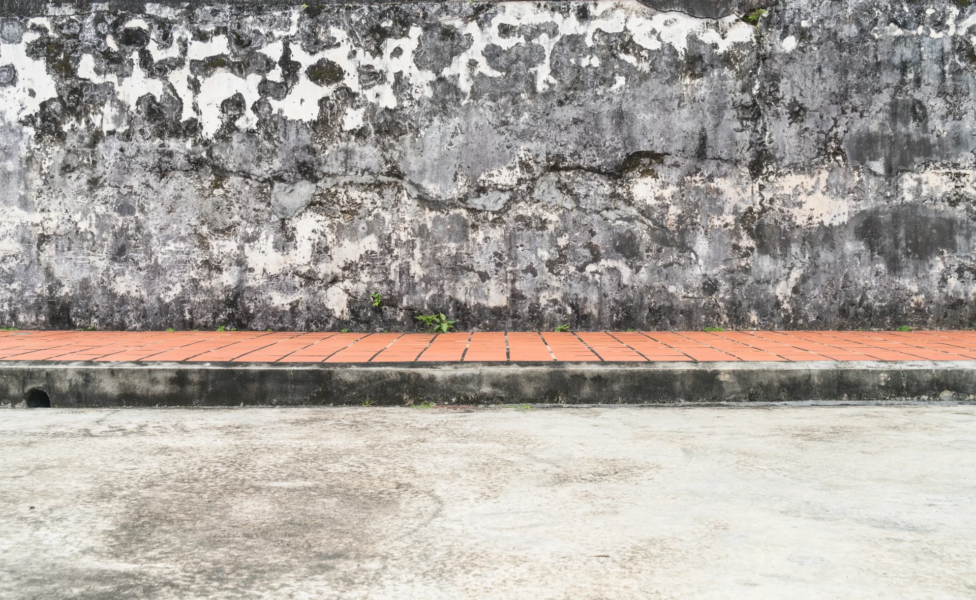 Artistry of Acid Wash Concrete - Palm Beach Official Website